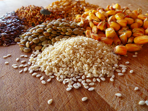 12 Homemade Feed Recipes Give Your Chickens An Organic Diet The 12 Homemade Feed Recipes Give Your Chickens An Organic Diet The