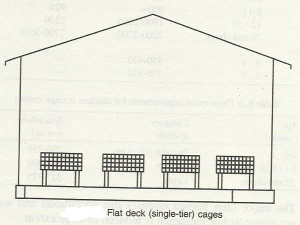 Poultry Housing Systems – The Poultry Guide
