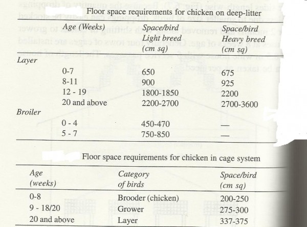 Poultry Housing Systems | The Poultry Guide