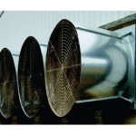 Enviromently control poultry farm Ventilation Systems for Broiler ...