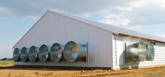 Enviromently control poultry farm Ventilation Systems for Broiler ...