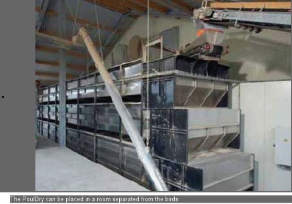 Modern System For Drying Poultry Manure To Protect The Environment ...