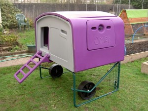 Different Types Of Backyard Chicken Coops – The Poultry Guide