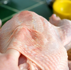 Health And Nutrition | The Poultry Guide
