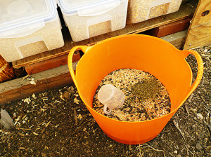 12 Homemade Feed Recipes-Give Your Chickens An Organic Diet – The ...