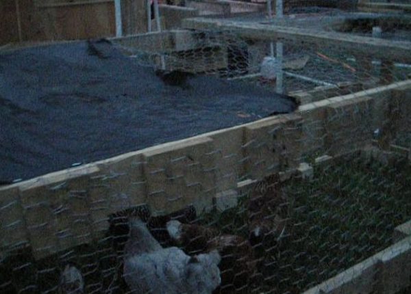 43 Chicken Tractor Plans-Building A Coop For Your Precious Birds | The ...