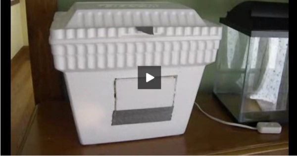 Making A Homemade Incubators-20+ Ideas For Hatching Eggs – The Poultry ...