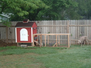 33 Homemade Chicken Coops-Build a Custom Version For Happy Hens – The ...