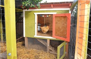 33 Homemade Chicken Coops-Build a Custom Version For Happy Hens – The ...