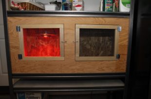 10 DIY Chick Brooder-Keep Baby Chicks Safe And Warm – The Poultry Guide