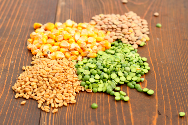 12 Homemade Feed Recipes-Give Your Chickens An Organic Diet | The ...