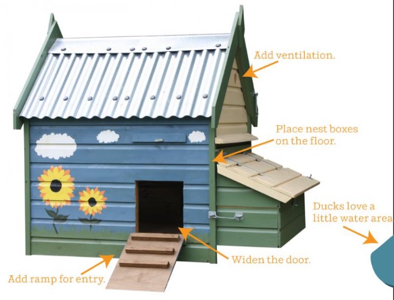 23 Duck House Plans With Tutorials That You Can Build In A Weekend ...
